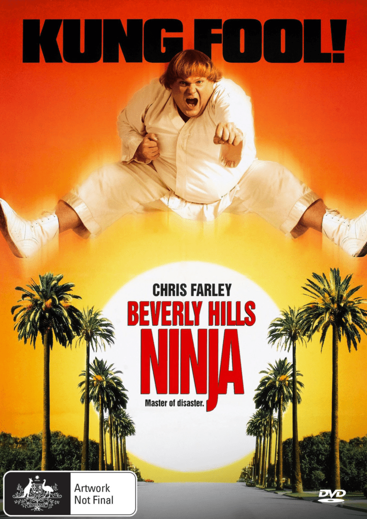 Beverly Hills Ninja - DVD | Via Vision Entertainment
