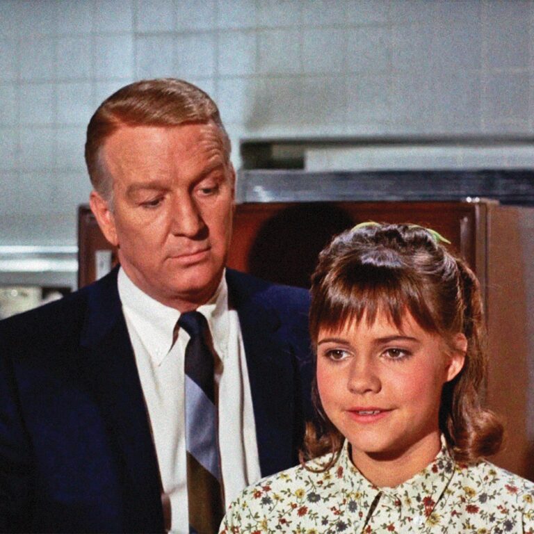 Gidget - The Complete Series (1965) - Imprint Television #20 | Via Vision Entertainment