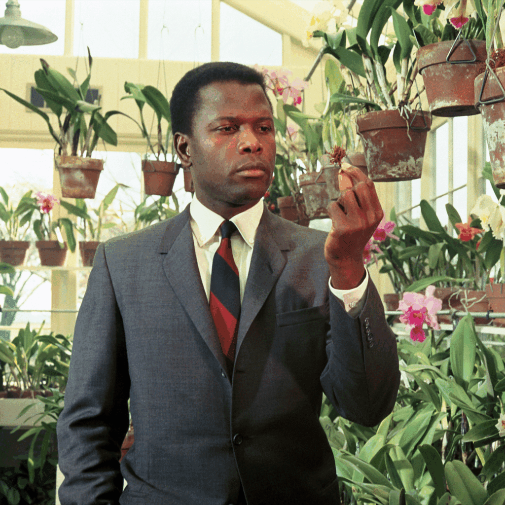 In The Heat Of The Night (1967) - 4K UHD + Blu-ray Limited Edition ...