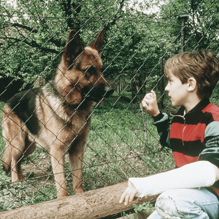 Inspector Rex: The Complete Original Series 1 - 10 - REMASTERED - DVD | Via Vision Entertainment