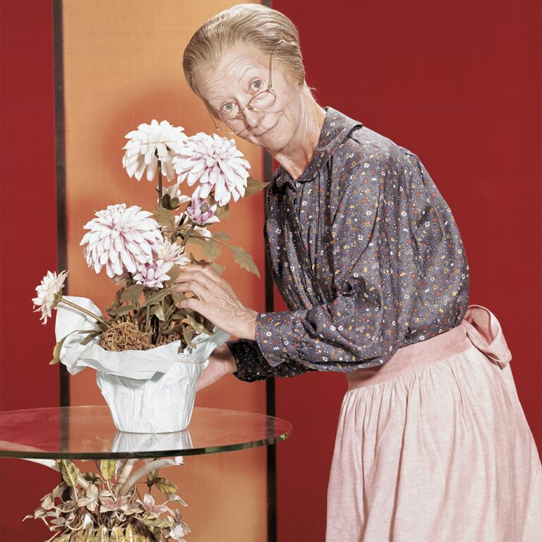 The Beverly Hillbillies: Seasons 1 - 5 - DVD | Via Vision Entertainment