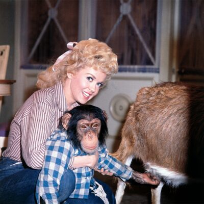 The Beverly Hillbillies: Seasons 1 - 5 - DVD | Via Vision Entertainment