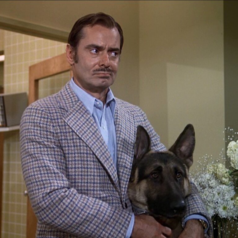 The Bionic Woman: The Complete Series - DVD | Via Vision Entertainment